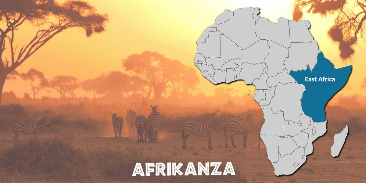 East African Countries (Complete List of Nations in East Africa ...
